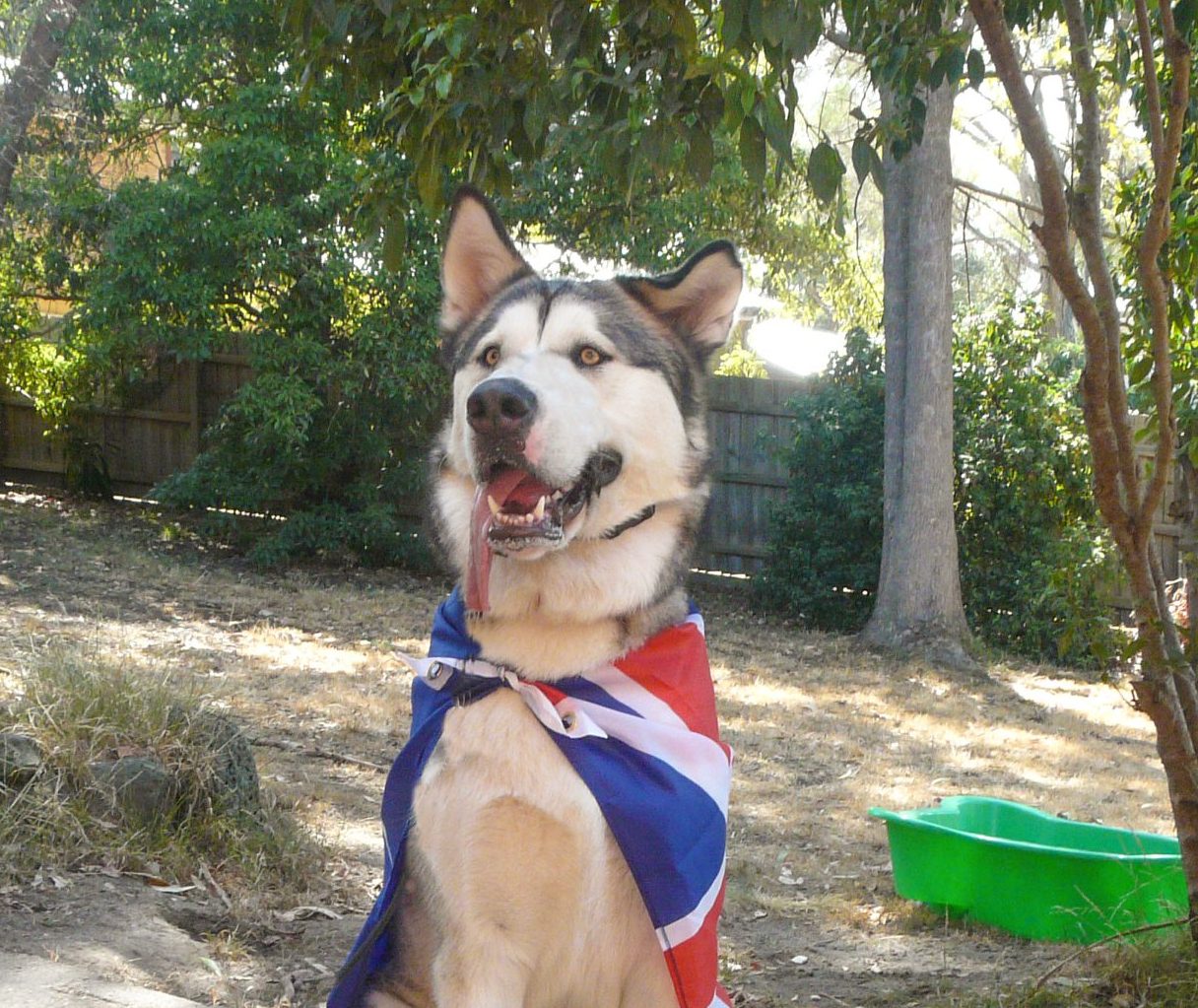 Sumo - Arctic Rescue Victoria Inc.