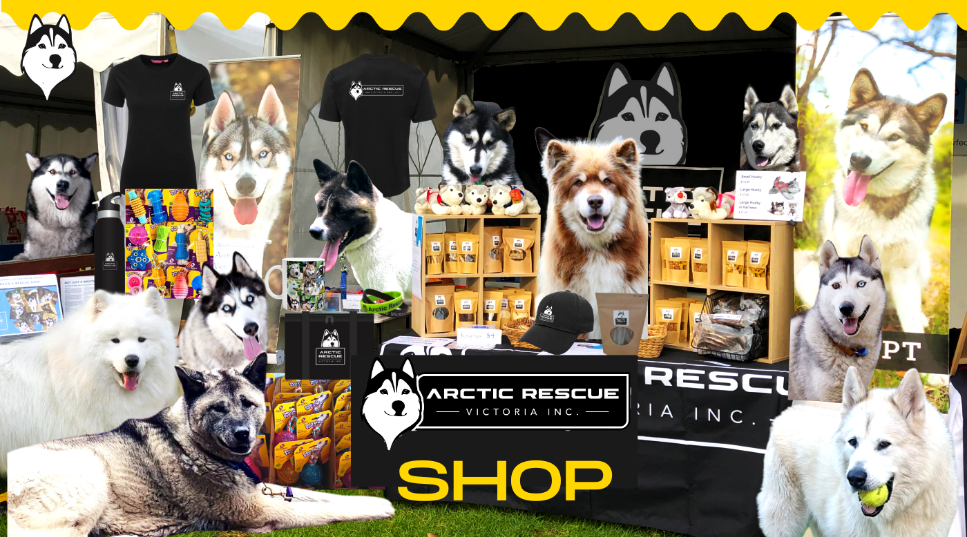 News & Updates - Arctic Rescue Victoria Inc.